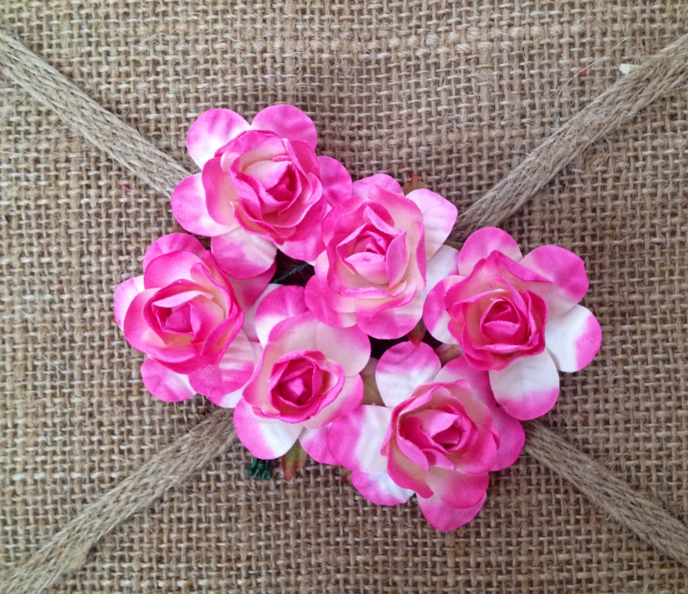 Fuschia Roses on Luulla